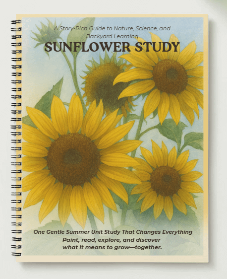 Sunflower Discovery Unit Study – Wonder Full Art Lessons